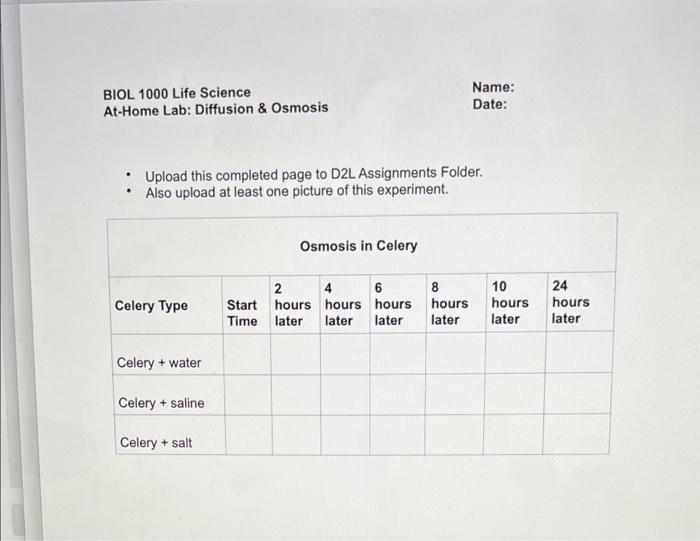BIOL 1000 Life Science At-Home Lab: Diffusion & | Chegg.com