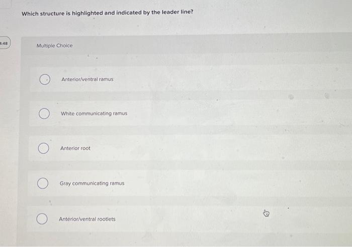 Solved Which structure is highlighted and indicated by the | Chegg.com