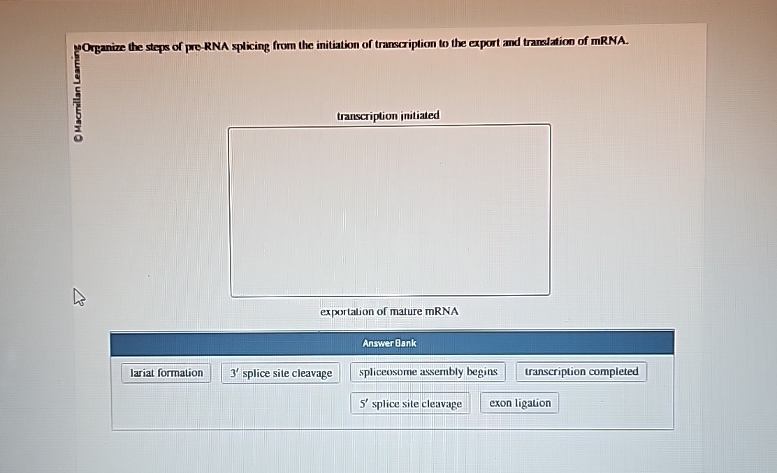 Solved worganize the steps of pre-RNA splicing from the | Chegg.com
