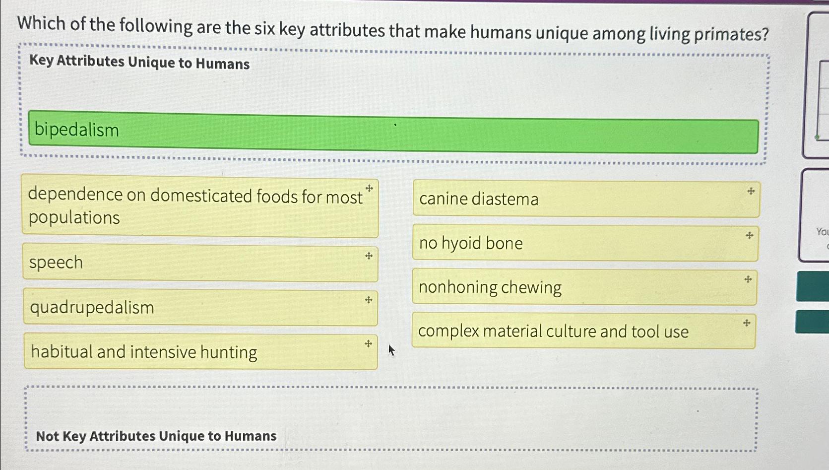Solved Which of the following are the six key attributes | Chegg.com