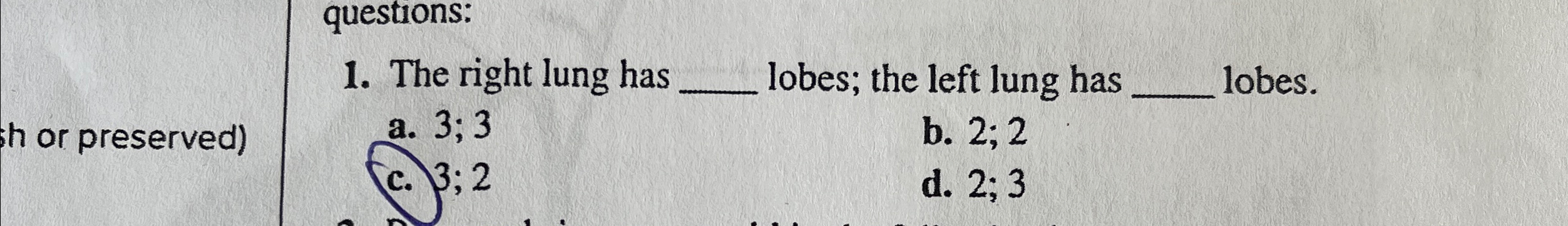 Solved questions:The right lung has q, ﻿lobes; the left lung | Chegg.com