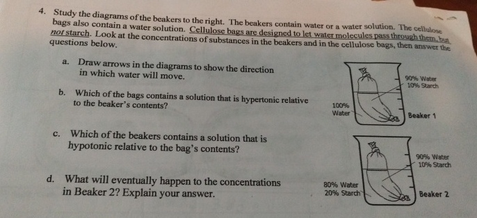 Study the diagrams of the beakers to the right. The | Chegg.com