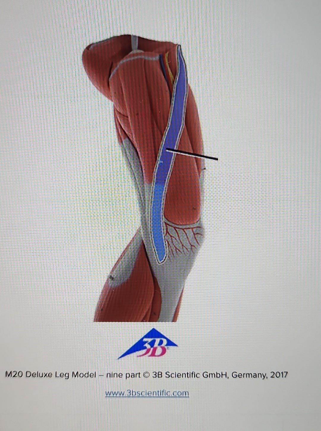 Solved 017 You received no credit for this question in the | Chegg.com