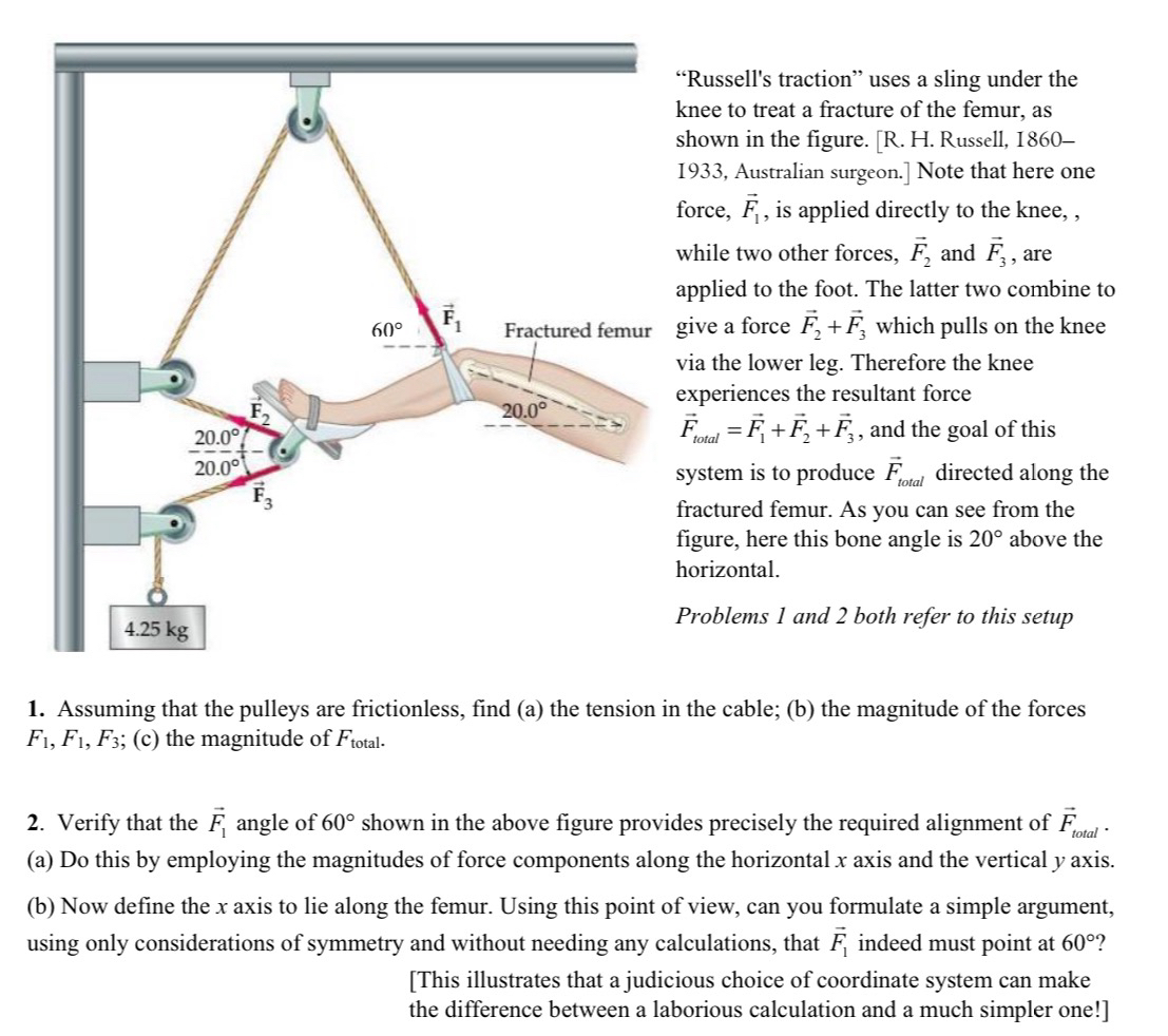 Solved "Russell's traction" uses a sling under theknee to | Chegg.com