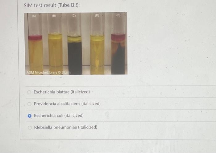 Solved You perform several tests on an unidentified | Chegg.com