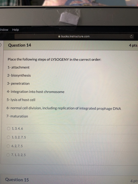 Solved indow Help bucks.instructure.com Question 14 4 pts | Chegg.com