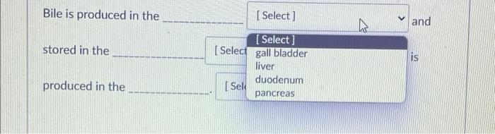 Solved Bile is produced in the [ Select] and stored in the [ | Chegg.com