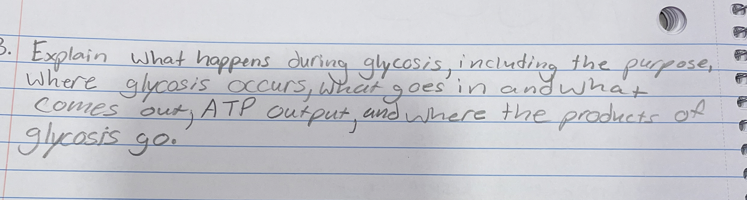 Solved Explain what happens during glycosis, incinting the | Chegg.com