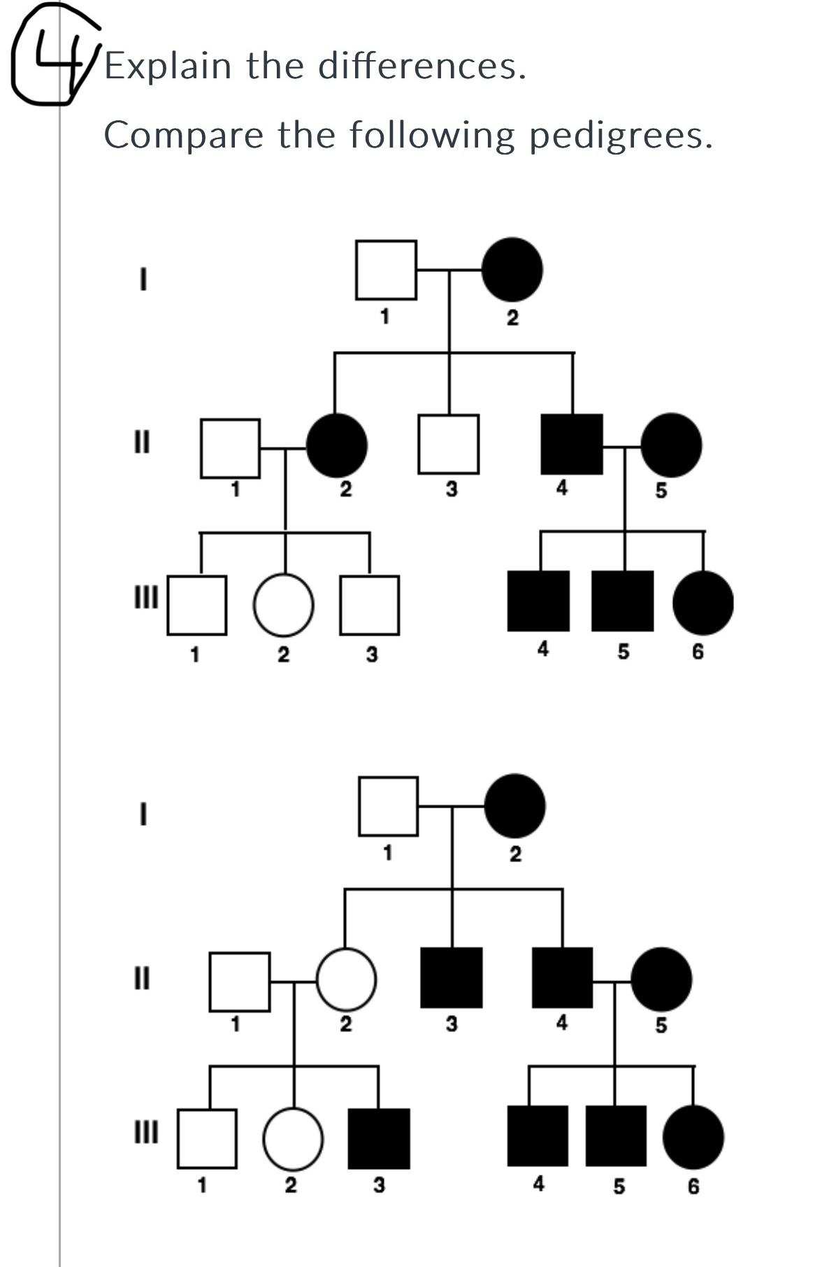 Solved 4 Explain the differences.Compare the following | Chegg.com Solved 4 Explain the differences.Compare the following | Chegg.com