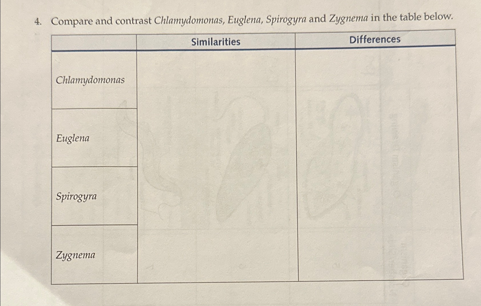 Solved Compare and contrast Chlamydomonas, Euglena, | Chegg.com