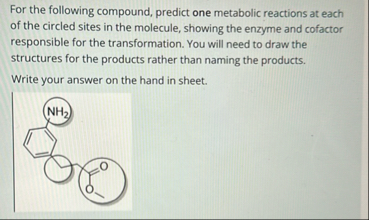 Solved For the following compound, predict one metabolic | Chegg.com