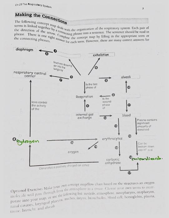 Solved Making the Connections The following concept map | Chegg.com