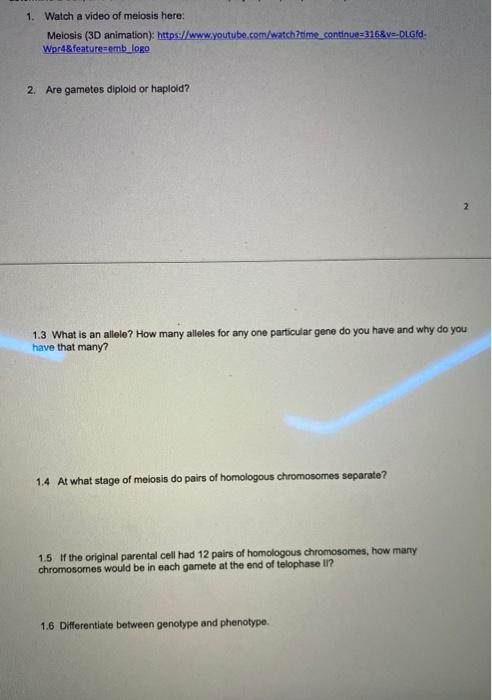 Solved Exercise 6.1: Meiosis and the Inheritance of Alleles | Chegg.com