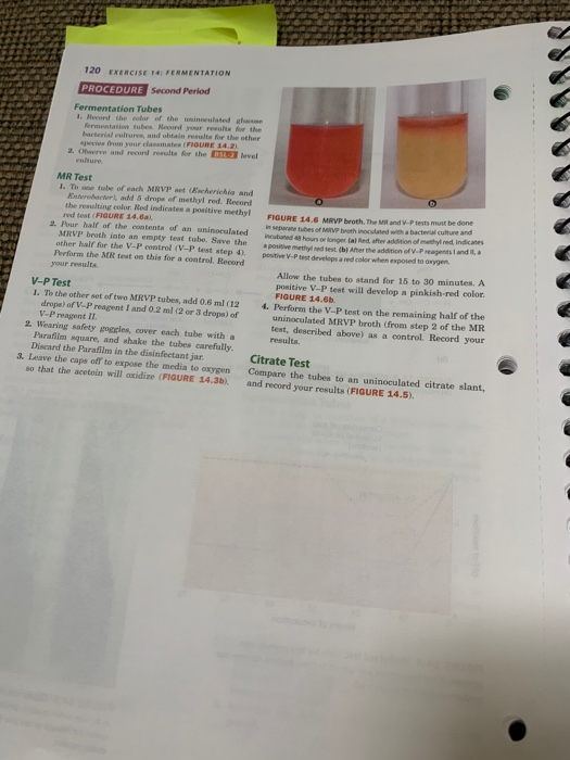 Solved EXERCISE Fermentation 14 OBJECTIVES and the organism. | Chegg.com