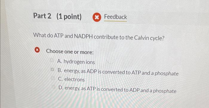 Solved How are ATP and NADPH made in the light-dependent | Chegg.com