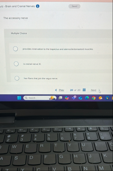 Solved ulz - ﻿Brain and Cranial Nerves ©The accessory | Chegg.com