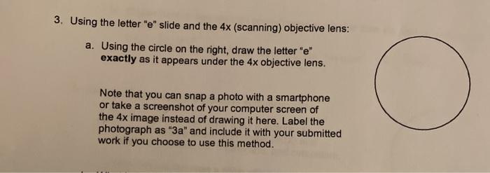 Solved 3. Using the letter "e" slide and the 4x (scanning) | Chegg.com