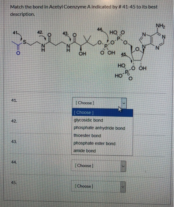 Solved Match the bond in Acetyl Coenzyme A indicated by # | Chegg.com