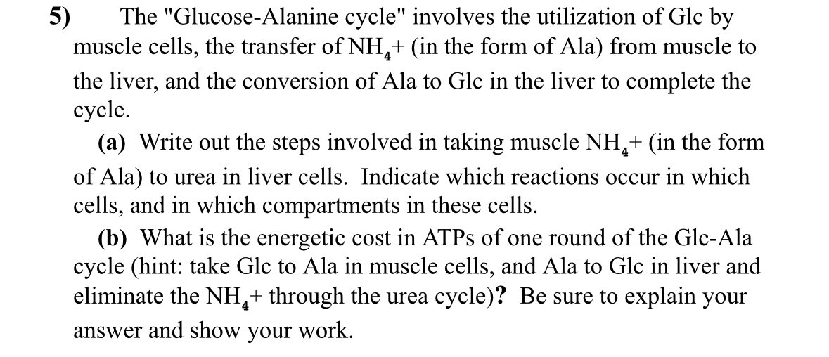 Solved The "Glucose-Alanine cycle" involves the utilization | Chegg.com