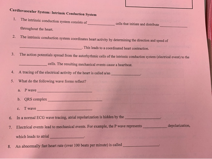 Solved Cardiovascular System: Intrinsic Conduction System 1. | Chegg.com