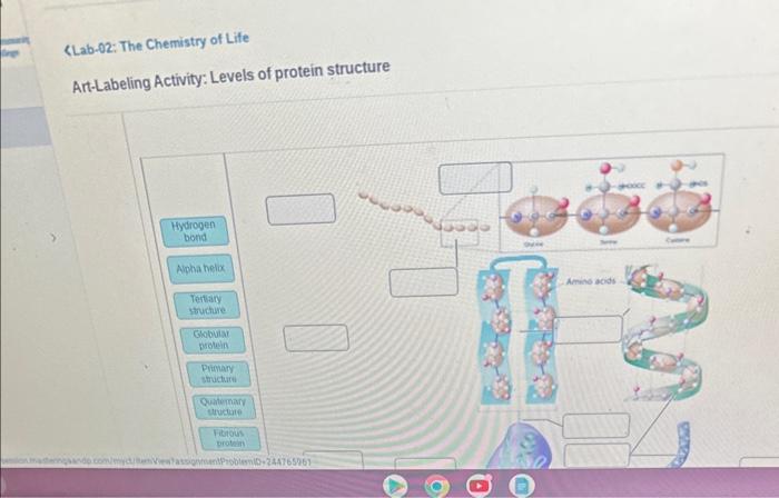Solved ¿Lab-02: The Chemistry of Life Art-Labeling Activity: | Chegg.com