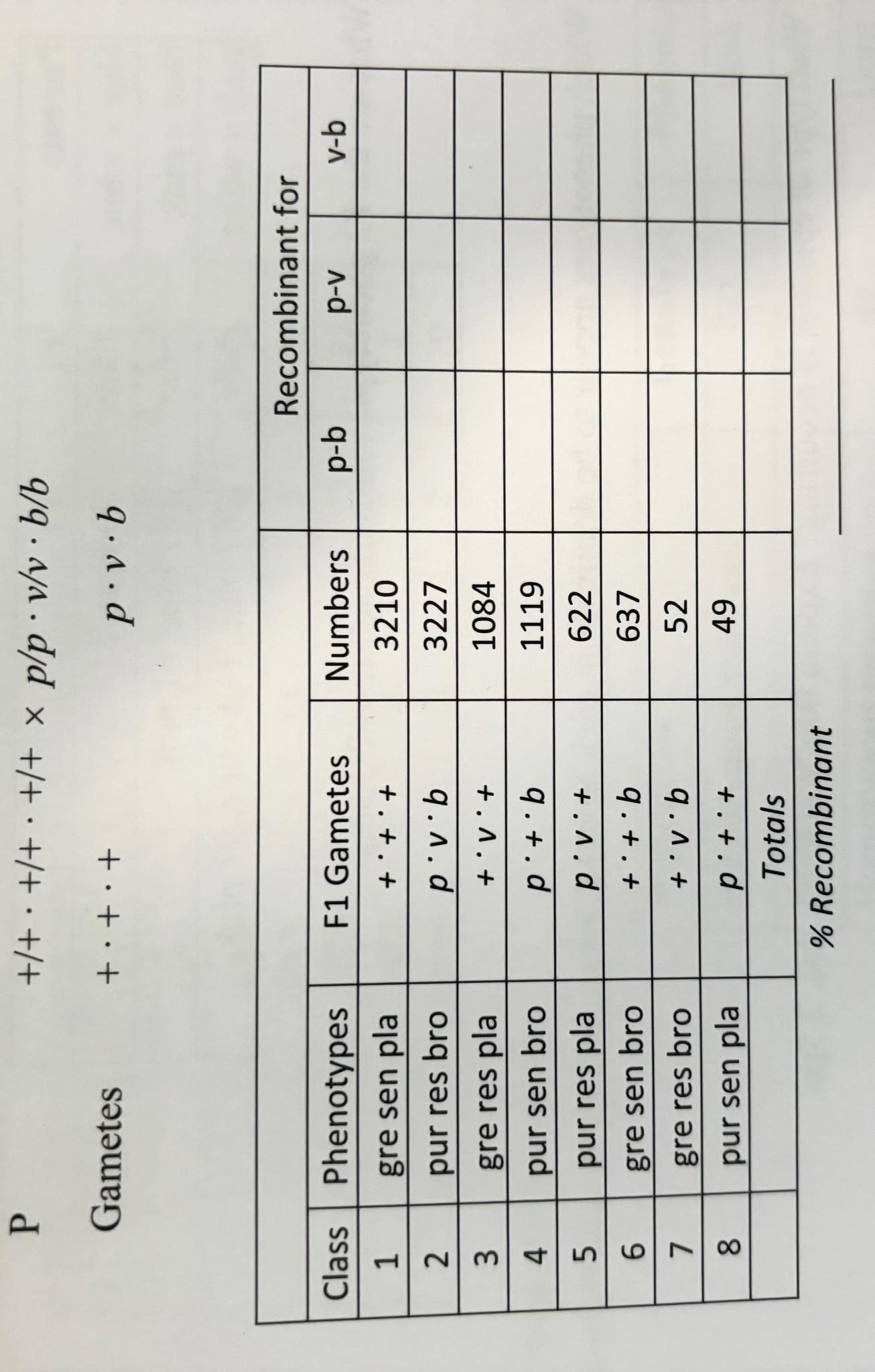 Solved Use the following table as well as the information at | Chegg.com