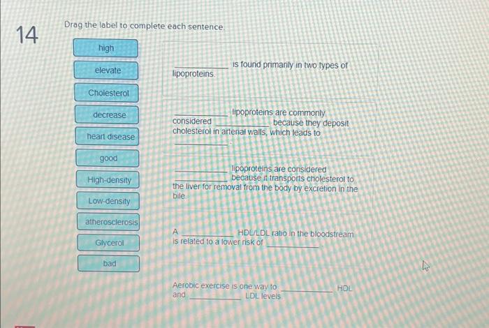 Solved 14 Drag the label to complete each sentence. high | Chegg.com