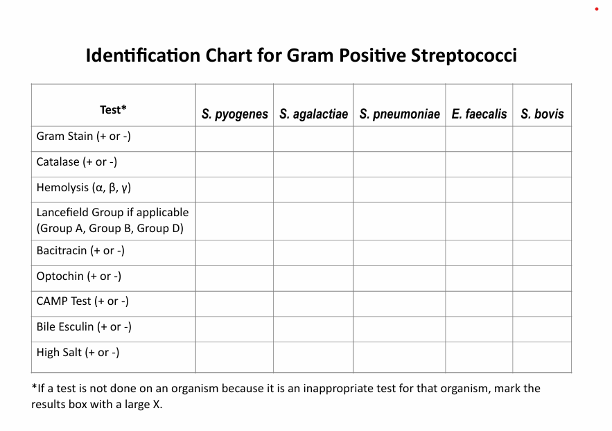 Solved identification chart for gram positive streptococci | Chegg.com