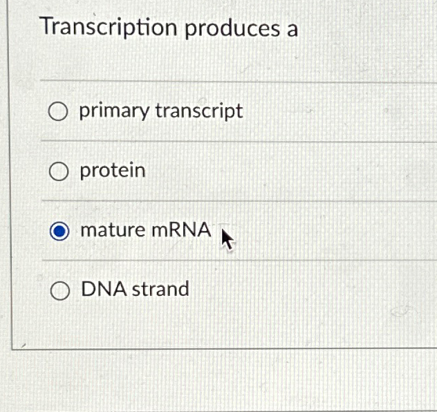 Solved Transcription produces aprimary | Chegg.com