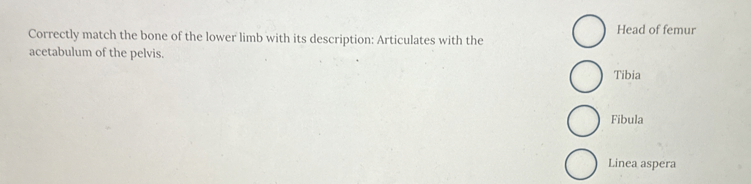Solved Correctly match the bone of the lower limb with its | Chegg.com
