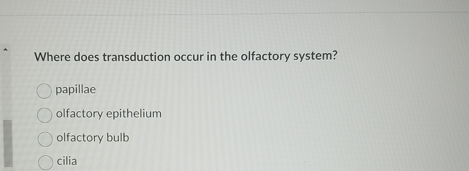Solved Where does transduction occur in the olfactory | Chegg.com