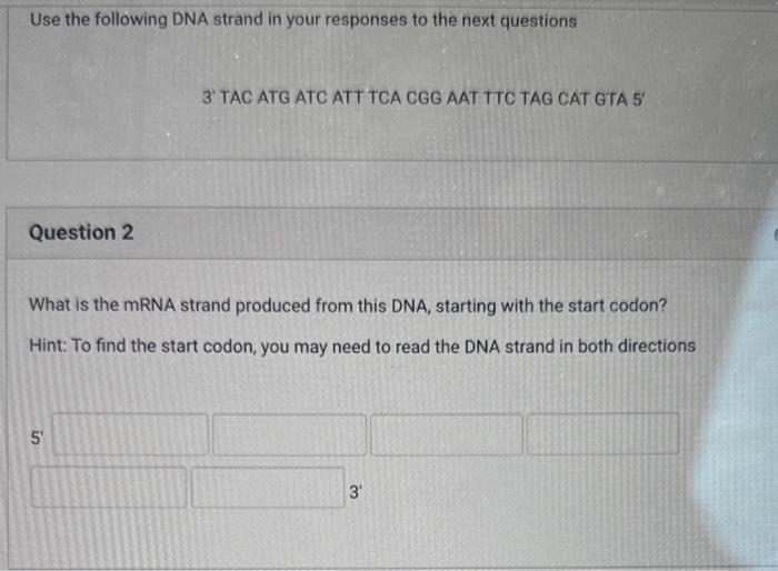 Solved Use the following DNA strand in your responses to the | Chegg.com