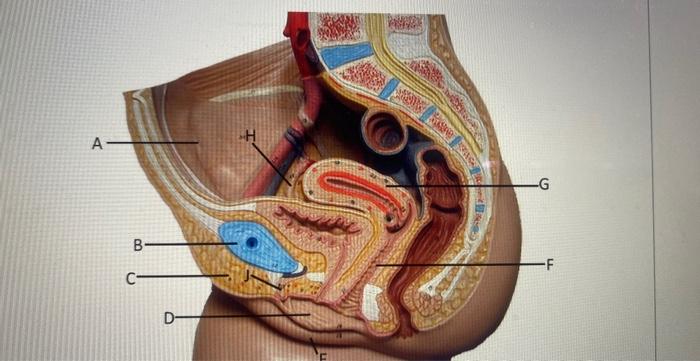 Solved identify structures | Chegg.com