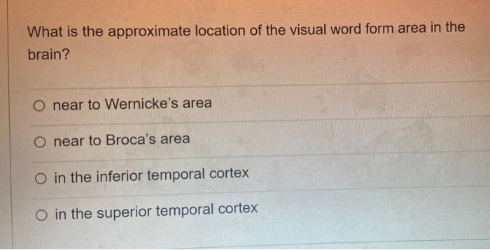 Solved What is the approximate location of the visual word | Chegg.com
