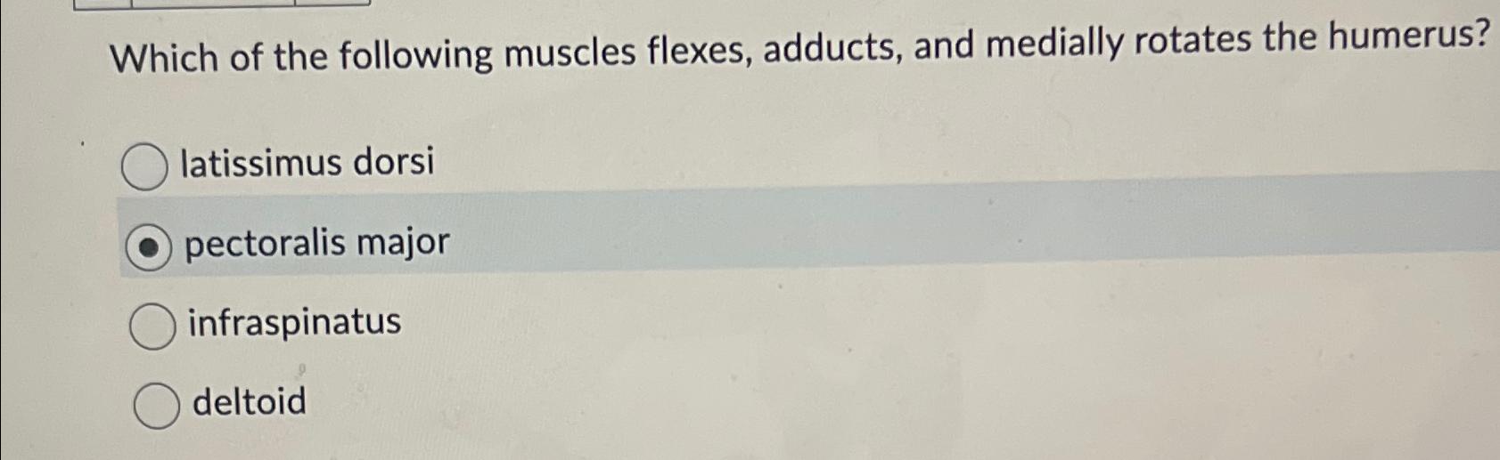 Solved Which of the following muscles flexes, adducts, and | Chegg.com