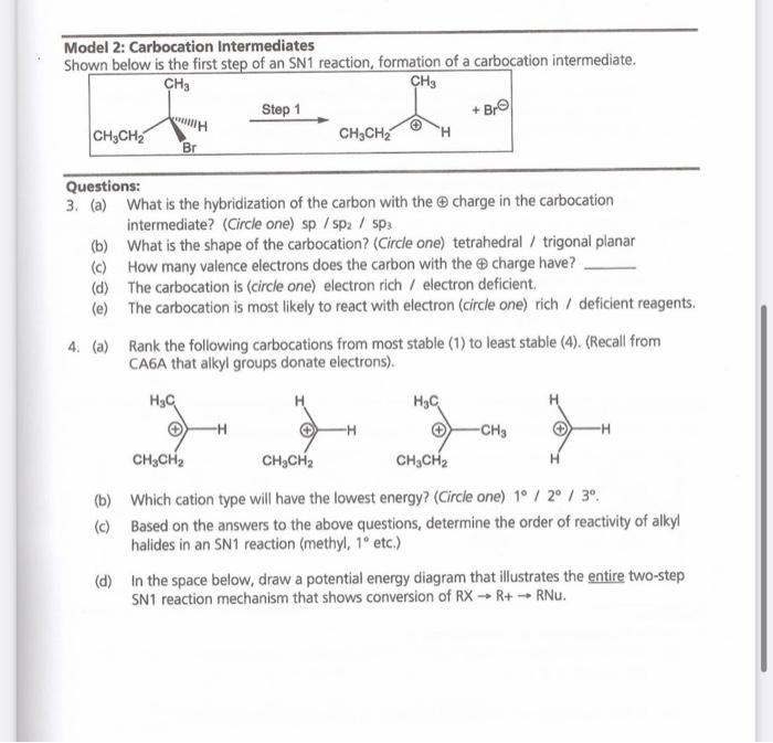 Solved Model 2: Carbocation Intermediates Shown below is the | Chegg.com