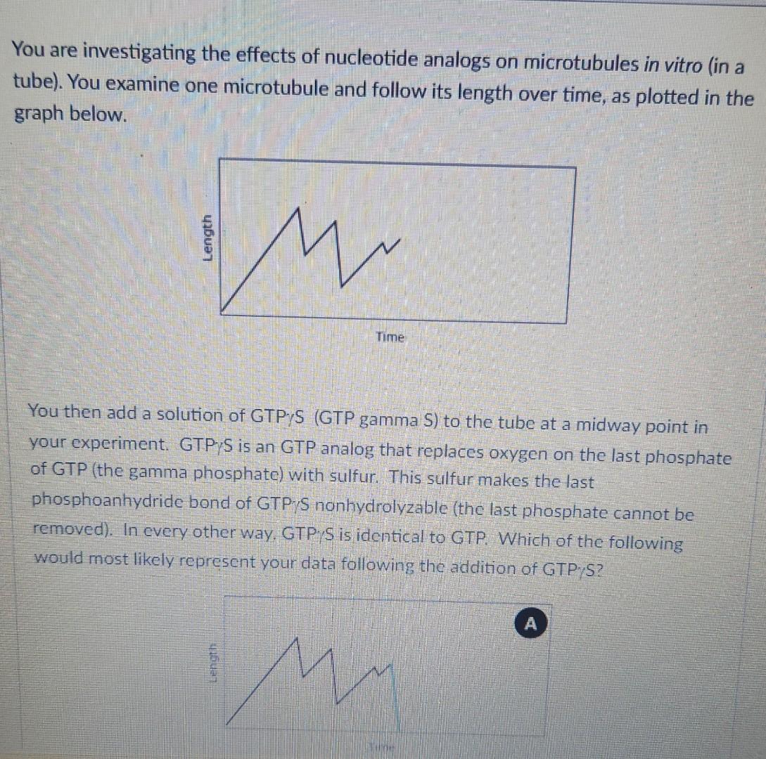 Solved You are investigating the effects of nucleotide | Chegg.com