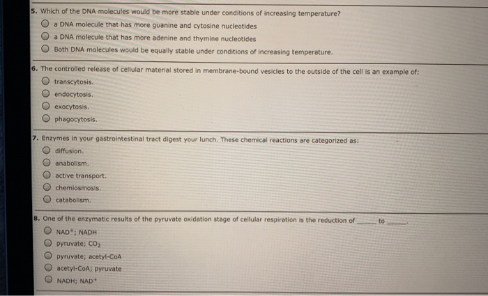 Solved 5. Which of the DNA molecules would be more stable | Chegg.com