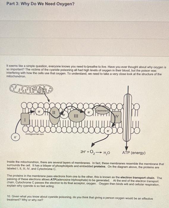 Solved Chicago Cyanide Murders: A Case Study In Cellular | Chegg.com