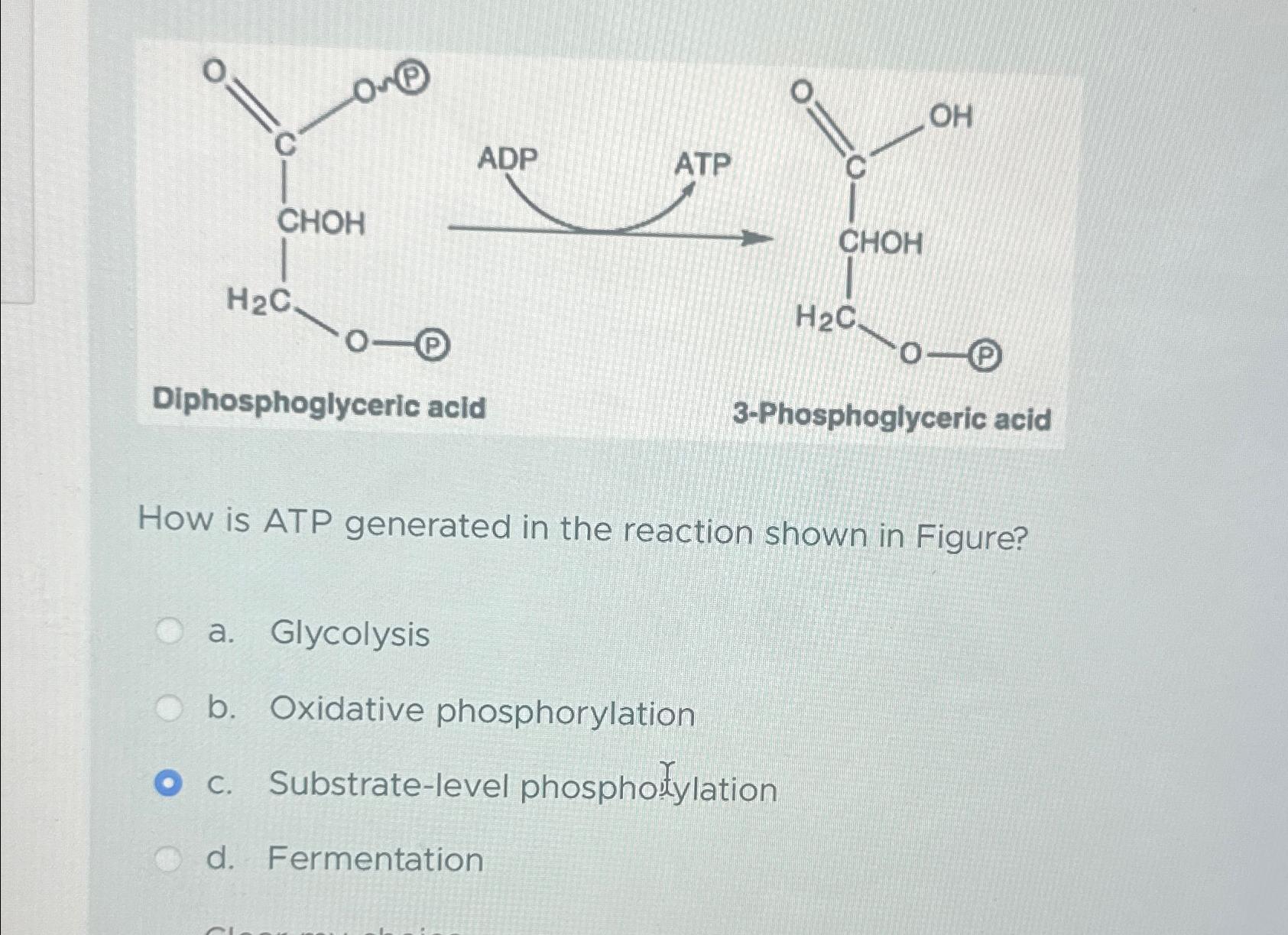 Solved Diphosphoglyceric acid3-Phosphoglyceric acidHow is | Chegg.com