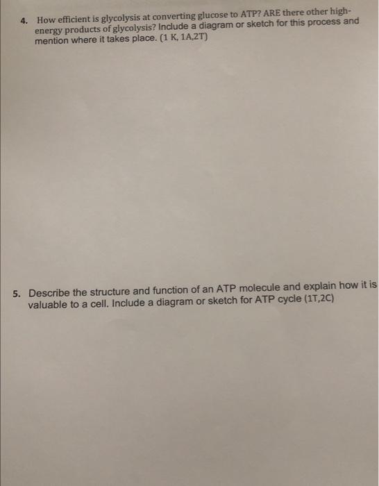 Solved 2. Make a flow chart that summarize how ATP are | Chegg.com