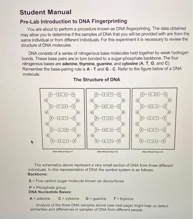 Solved Student Manual Pre-Lab Introduction to DNA | Chegg.com