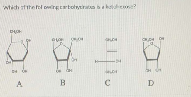 Solved Which of the following carbohydrates is a ketohexose? | Chegg.com