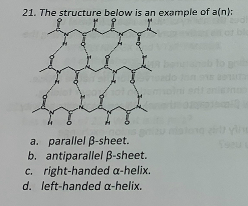 Solved The structure below is an example of a(n) ﻿:a. | Chegg.com