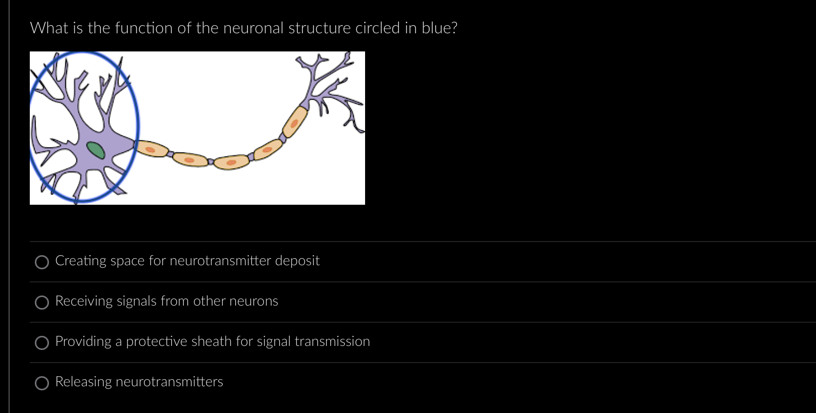 Solved What is the function of the neuronal structure | Chegg.com