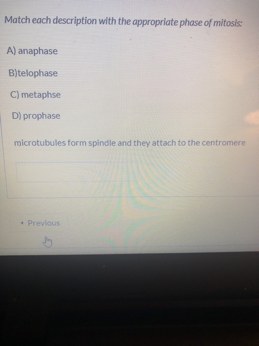 Solved Match each description with the appropriate phase of | Chegg.com