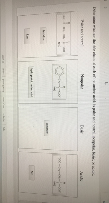 Solved Determine whether the side chain of each of the amino | Chegg.com