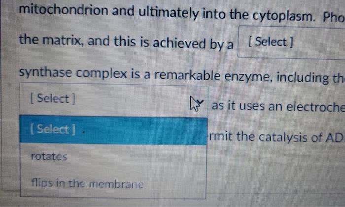 Solved The ATP synthase complex resides in the inner | Chegg.com