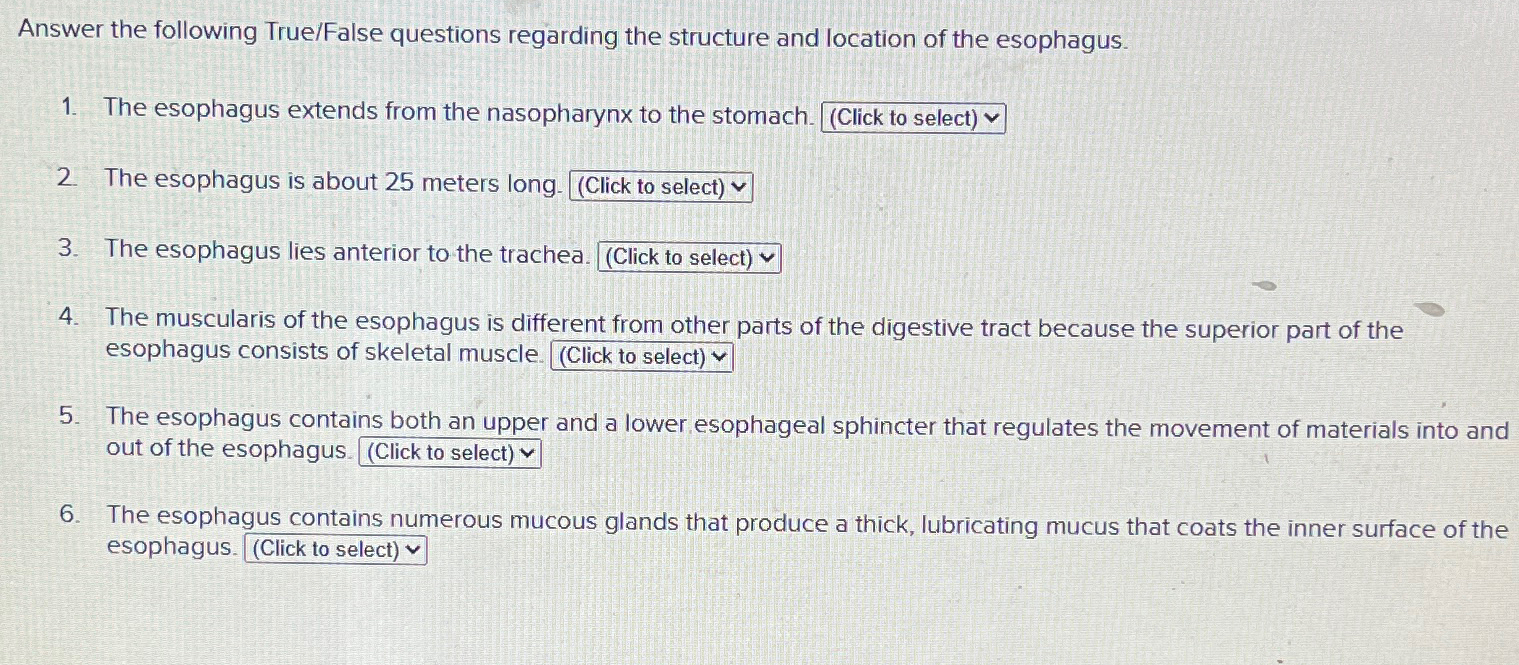 Solved Answer the following True/False questions regarding | Chegg.com