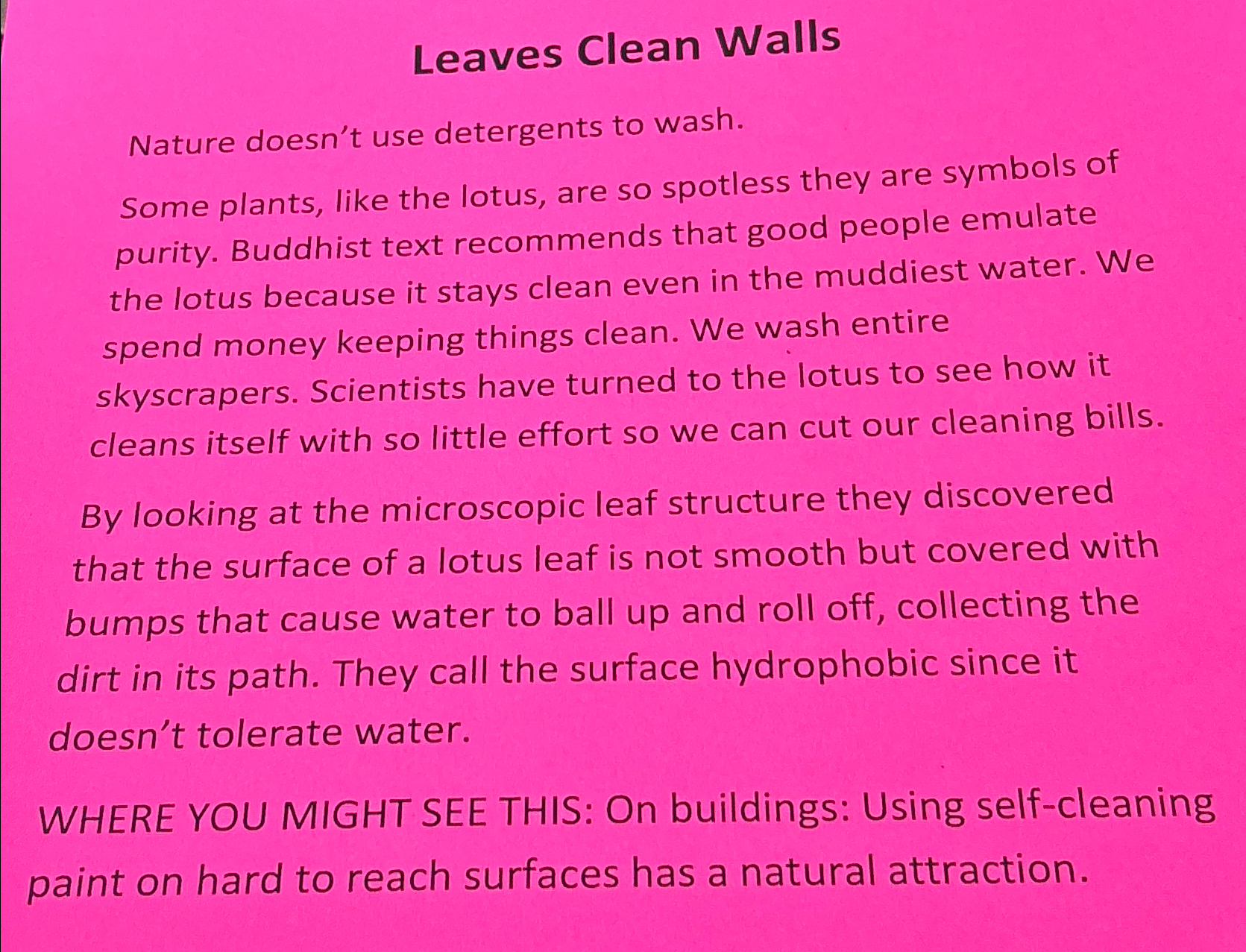 Solved Leaves Clean WallsNature doesn't use detergents to | Chegg.com